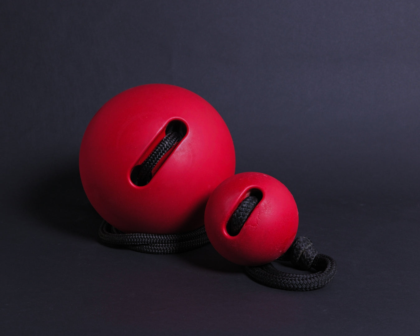 Paraballs - Rope Medicine Ball